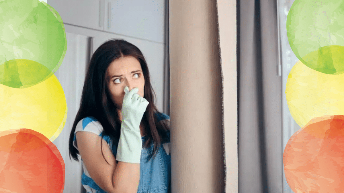 Formaldehyd selber messen | So gehts auch ohne Expertenbesuch